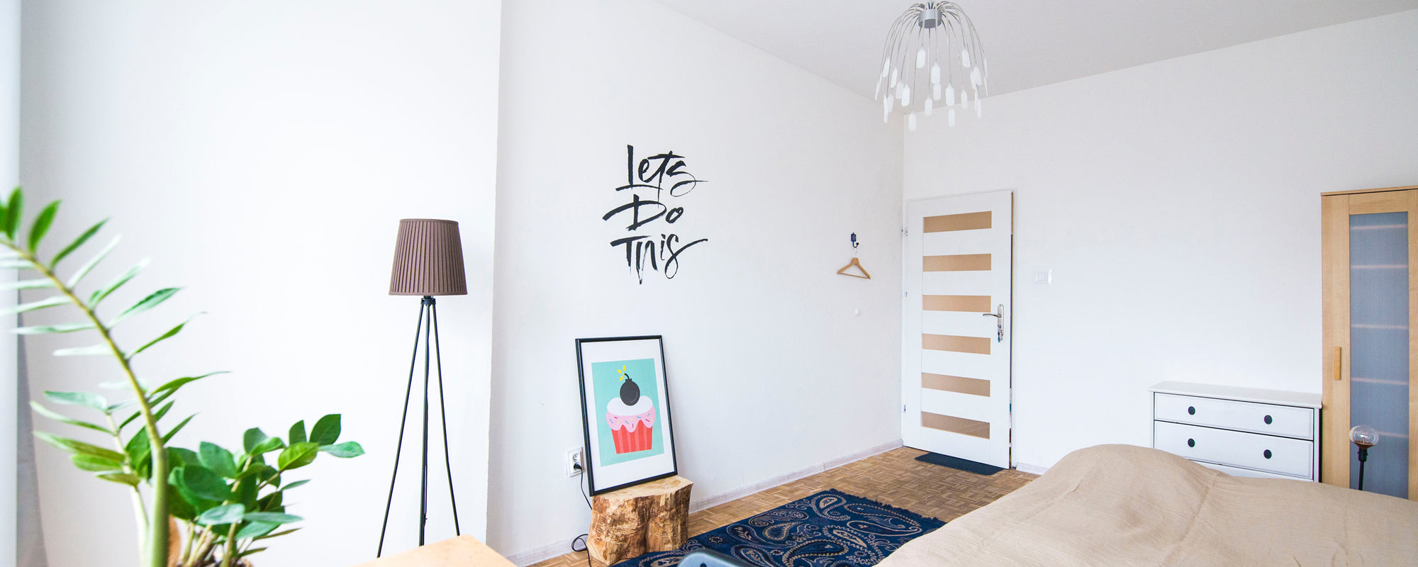 Frequently Asked Questions About Our Products | Steigen